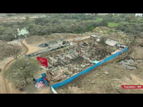 Tricity Bliss Ulwe | Official Website