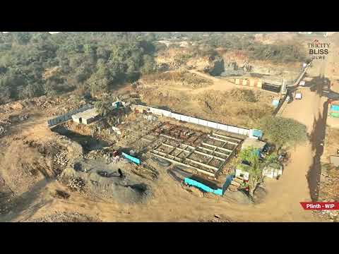 Tricity Bliss Ulwe | Official Website